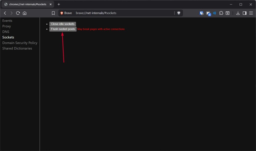 Steg-för-steg-guide för att använda chrome://net-internals/#dns på ...